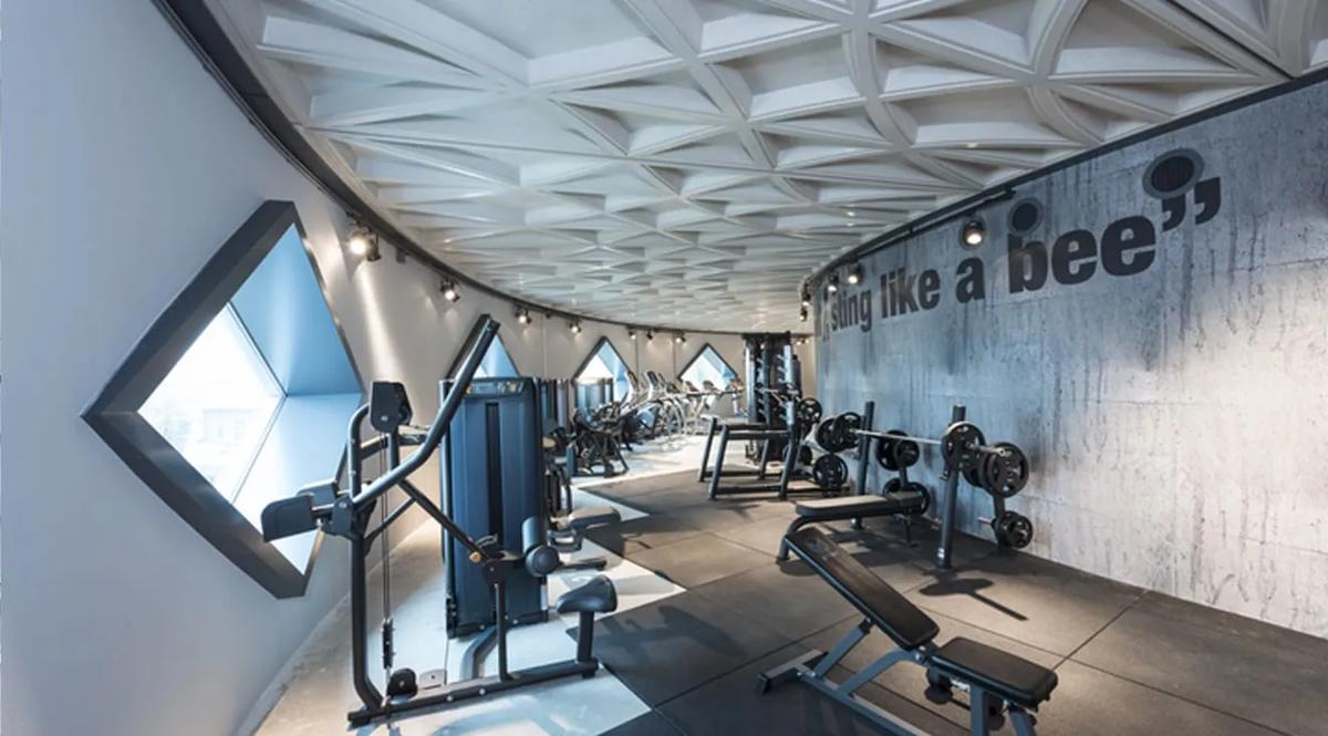 Matrix Fitness